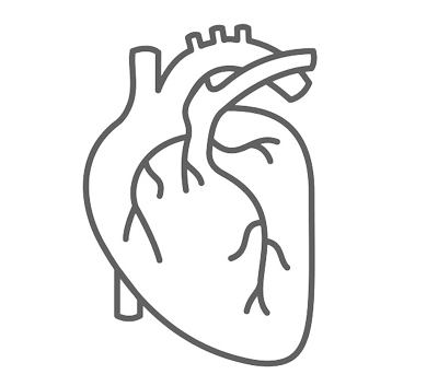 Cardiologist in Los Angeles, CA | Dr. Jamshid Maddahi